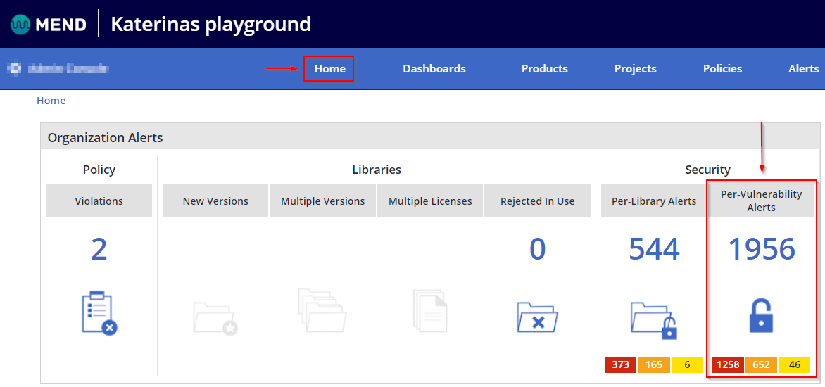 Legacy Mend UI - Determining Vulnerable Source Files