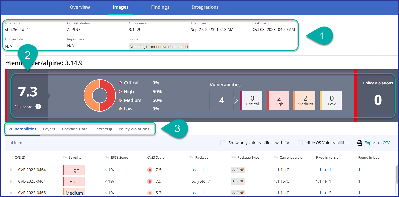 Scanning Container Images