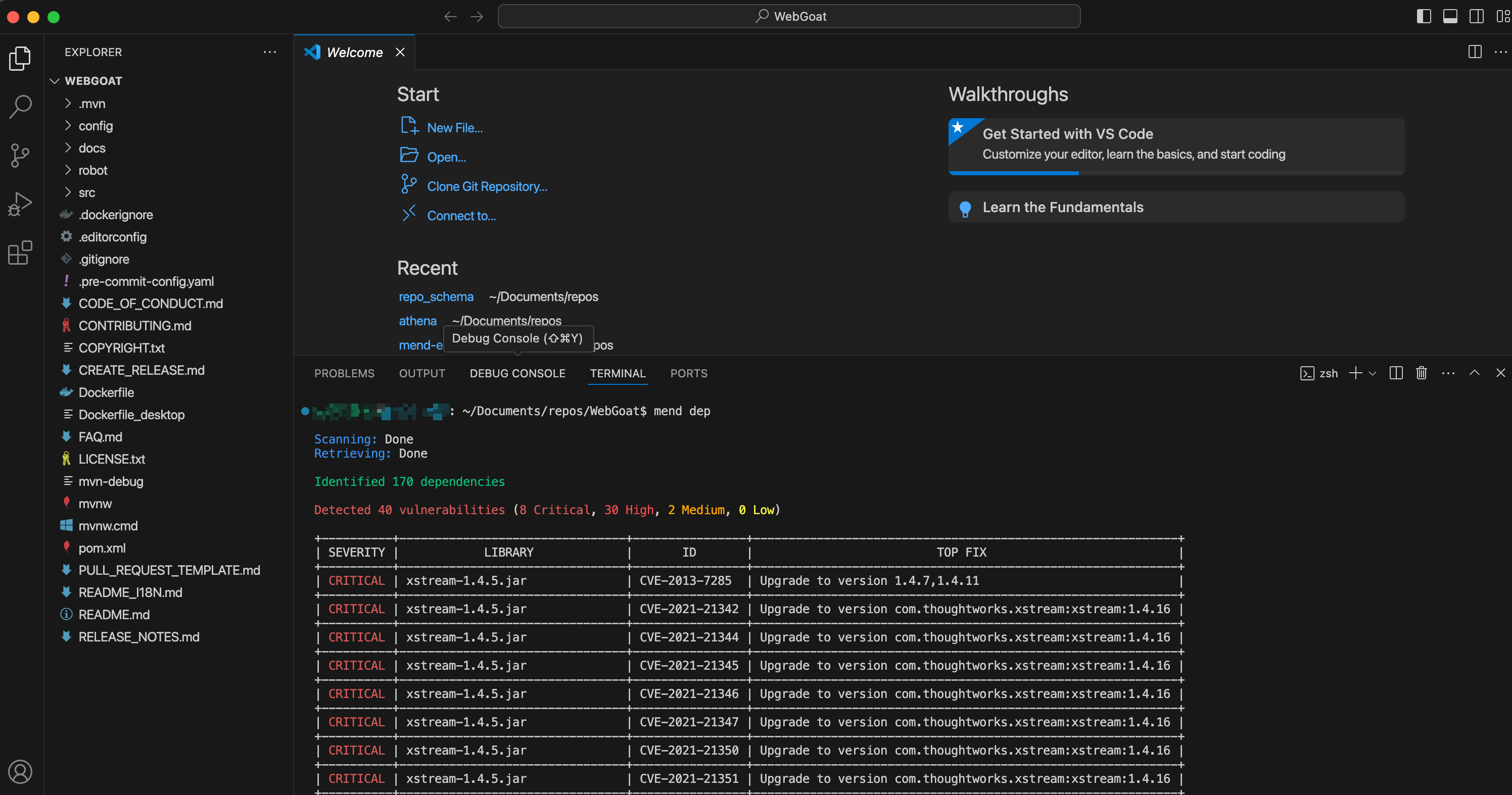 Implementing the Mend CLI in the IDE